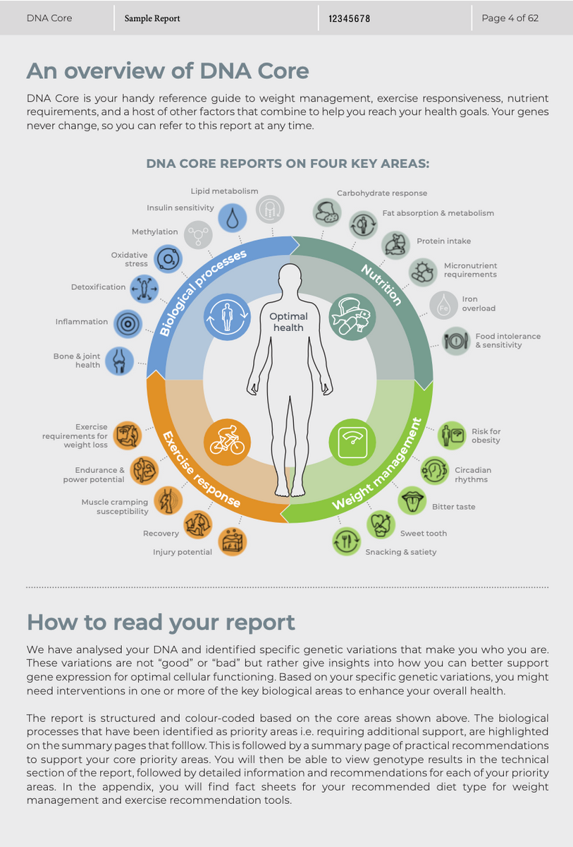 DNA Core – Core DNA Health